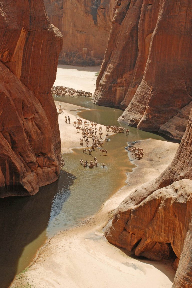 The Gerewol Festival and the Ennedi Mountains - Native Eye Travel