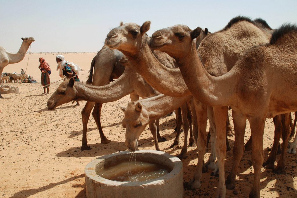 Expedition to the Ennedi - Native Eye Travel