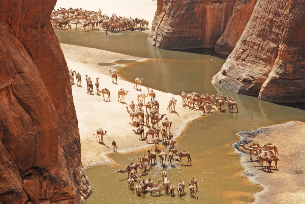 The Gerewol Festival & Ennedi Mountains - Native Eye Travel