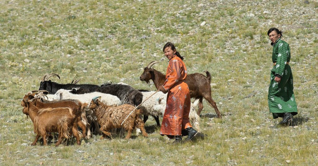 Altai Explorer - Native Eye Travel