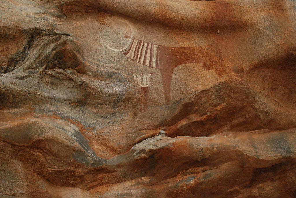 The Horn of Africa - Djibouti and Somaliland - Native Eye Travel