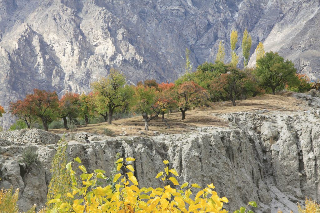 North Pakistan Explorer - Native Eye Travel