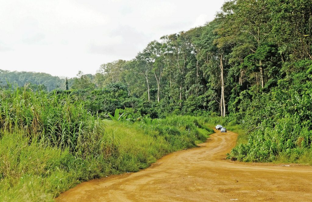 Gabon Explorer - Native Eye Travel