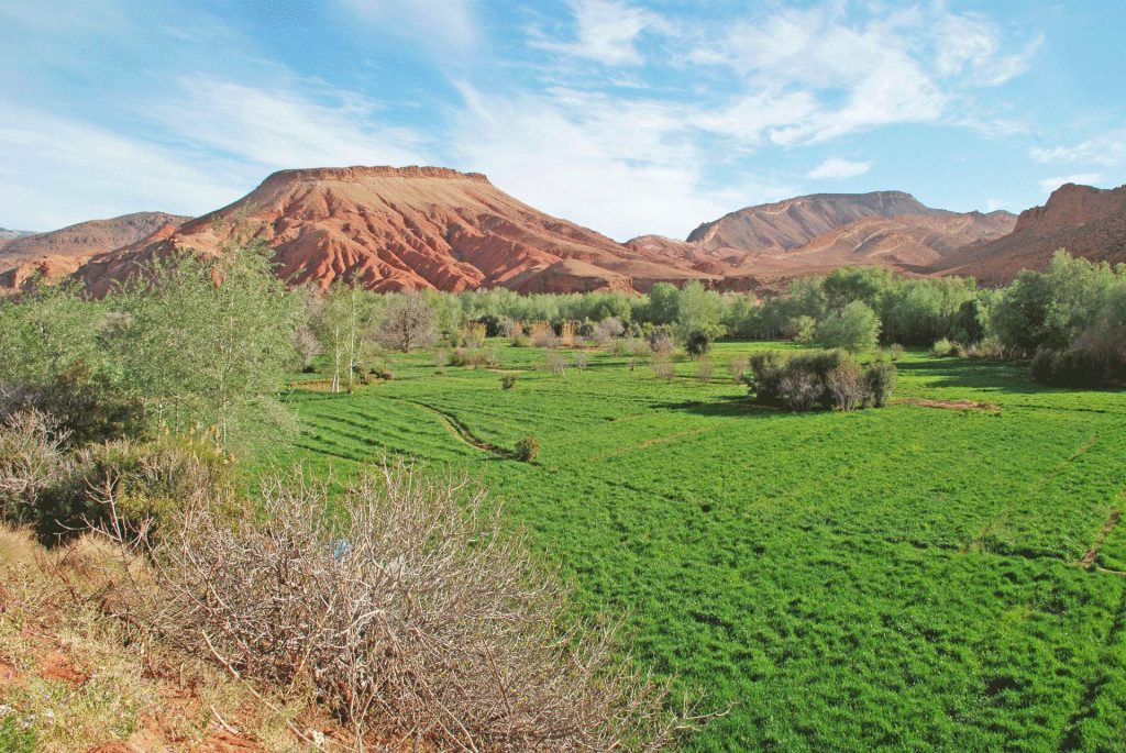 Morocco & Western Sahara - Native Eye Travel