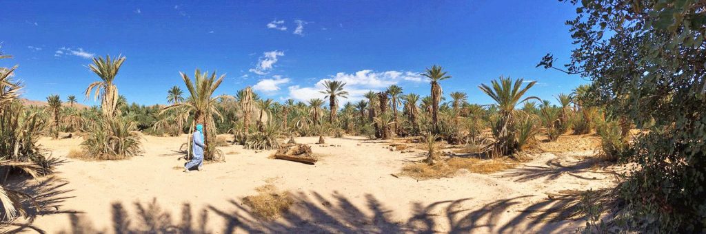 Morocco & Western Sahara - Native Eye Travel