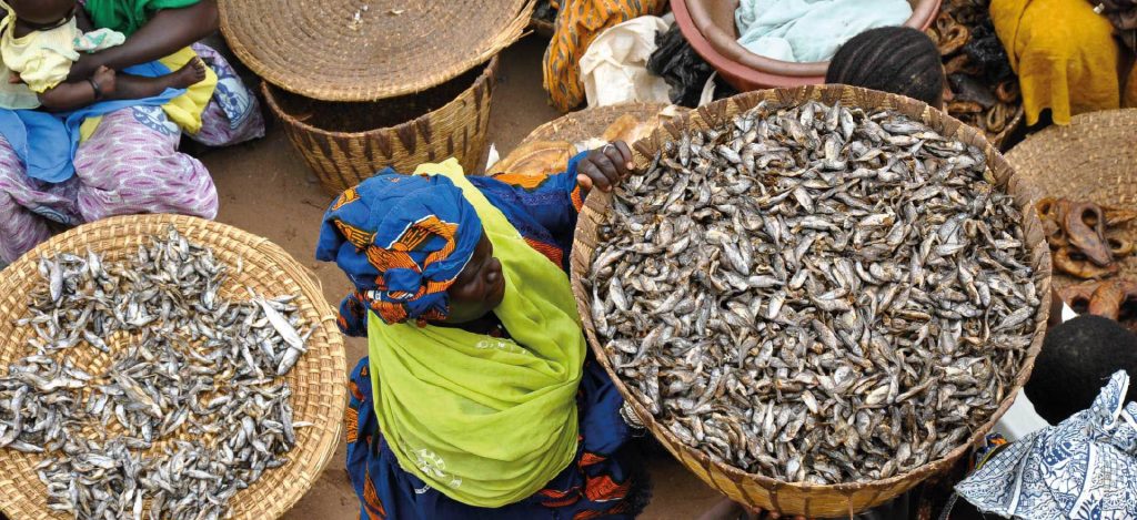 Mali Holidays and Mali Tours with Africa Experts Native Eye Travel