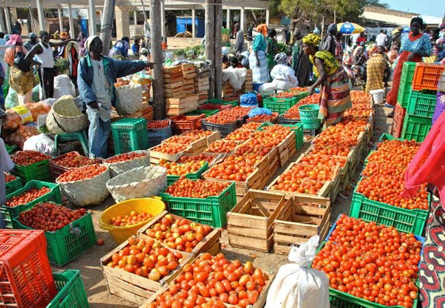 Senegal Uncovered - Native Eye Travel