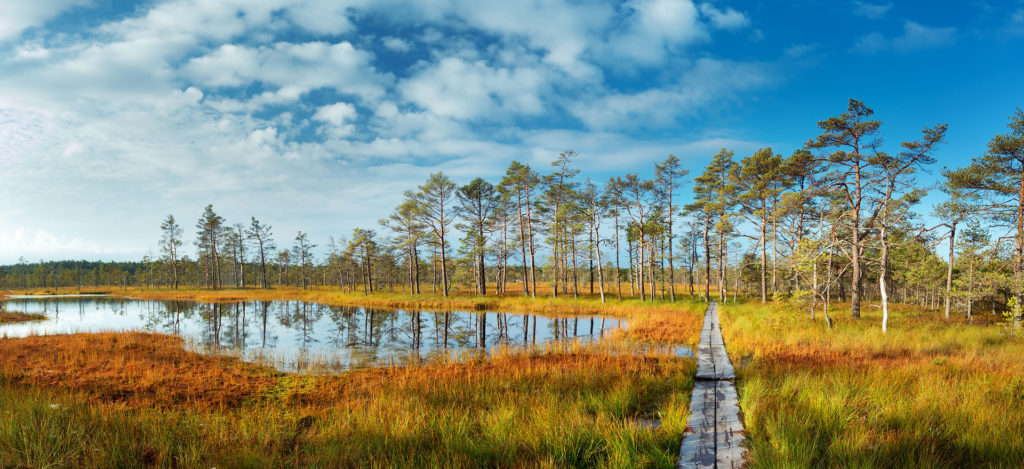 Estonia Holidays and Tours - Baltic States - Native Eye Travel