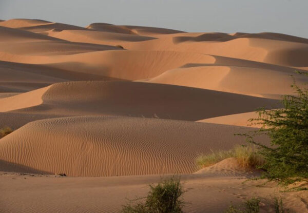 Mauritania Desert Adventure - Wilderness Travel - Native Eye Travel