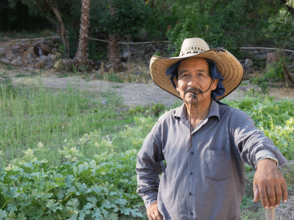 Mexico – Baja California and the Copper Canyon Photo Gallery - Native ...