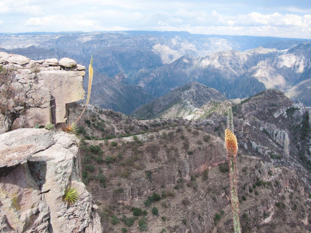 Mexico – Baja California and the Copper Canyon Photo Gallery - Native ...