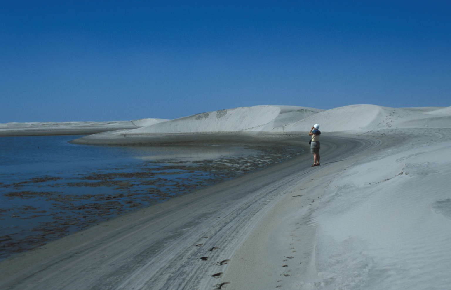 Mexico – Baja California and the Copper Canyon Photo Gallery - Native ...