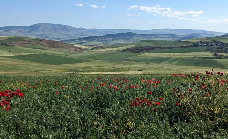 Algeria Travel Guide – in pictures - Africa Specialist