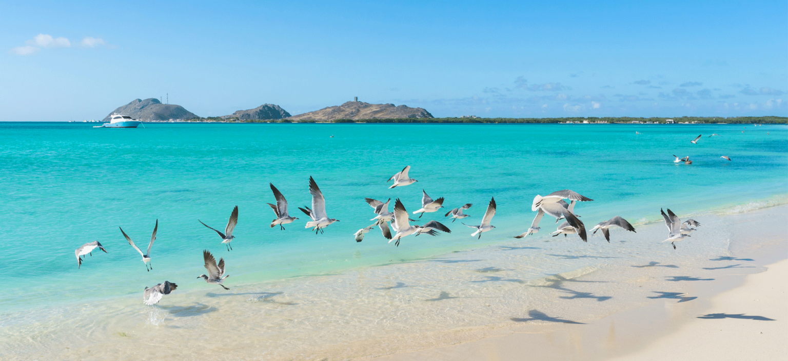 Venezuela Holidays and Tours - Native Eye