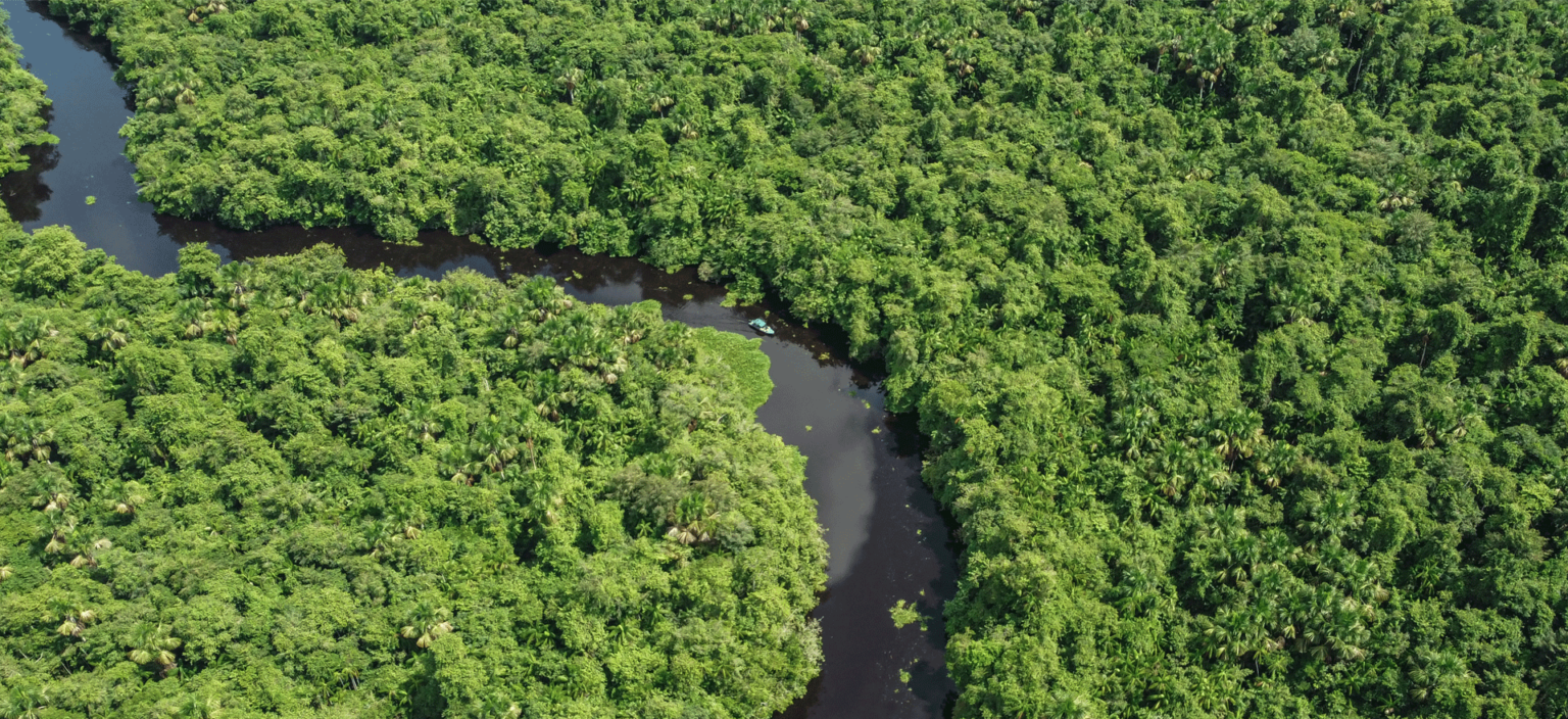 Venezuela Holidays and Tours - Native Eye